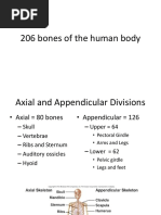 206 Human Bones Detailed Chart | PDF