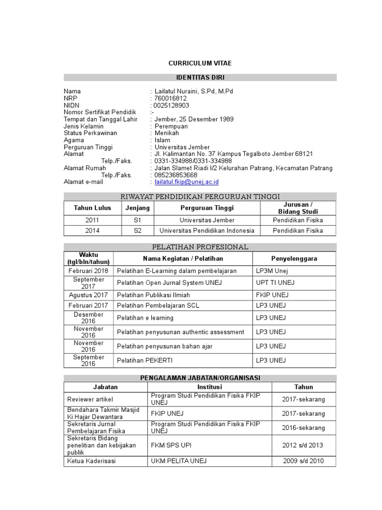 CV Lailatul Nuraini | PDF