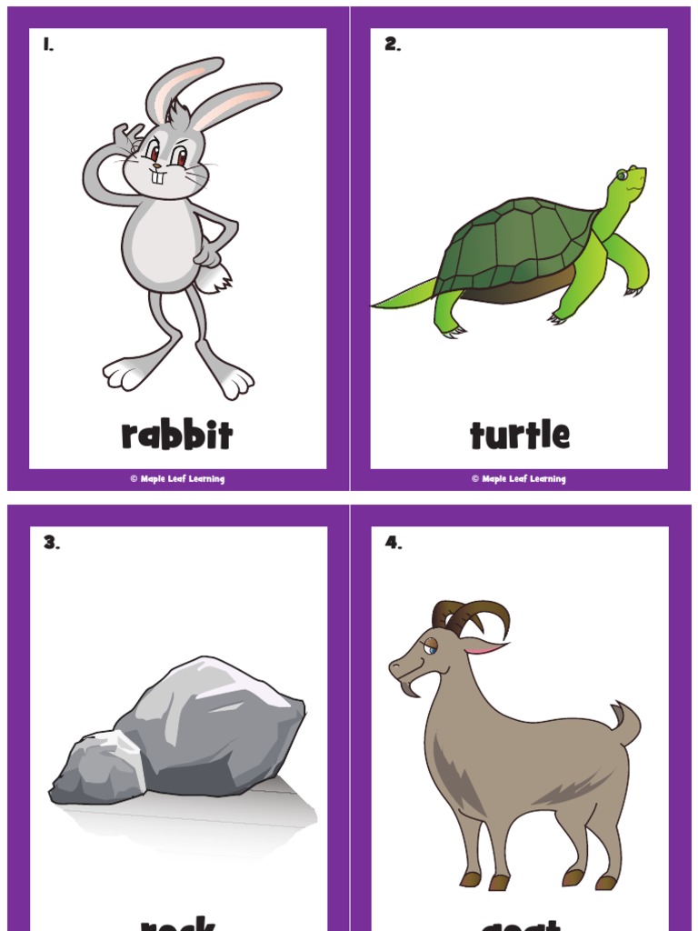 The Rabbit and The Turtle Book Flashcards PDF | PDF | Home & Garden