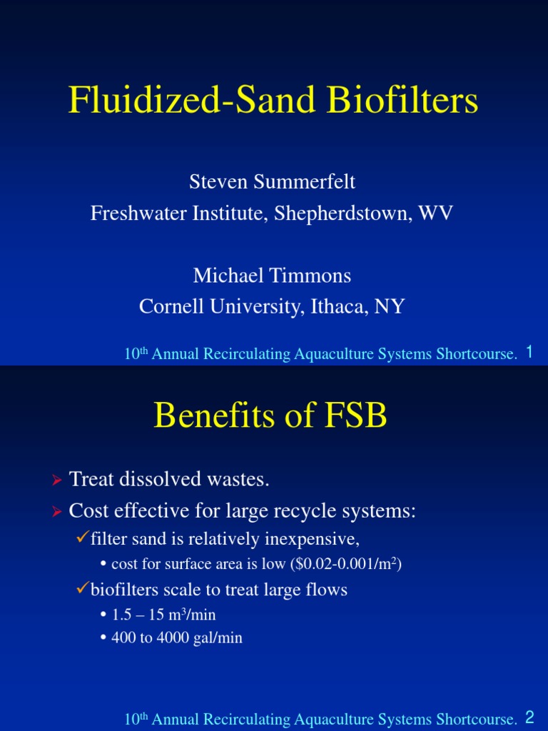 Optimized Fluidized Sand Biofilters | PDF | Aquaculture | Fluidization