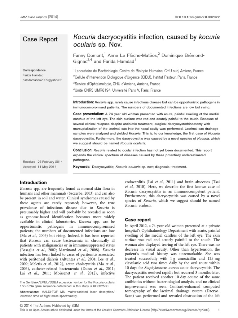 Kocuria Dacryocystitis Infection, Caused by Kocuria Ocularis Sp. Nov ...