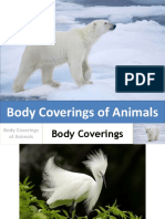 Types of Animal Body Coverings | PDF