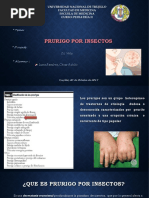 CAPÍTULO 17 - Prurigo Por Insectos (Cimiciasis) | PDF | Insecticida | Especialidades Medicas