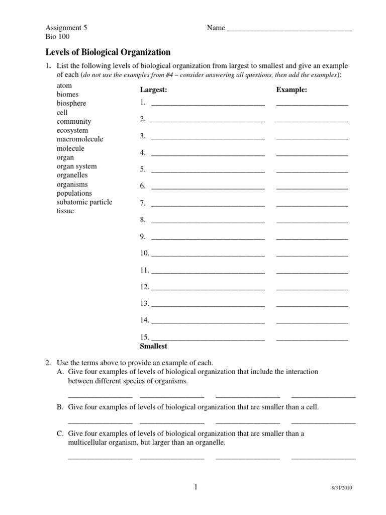 Levels of Biological Organization Worksheet PDF | PDF | Cell (Biology ...