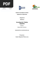 Fisiologia Vegetal Morfogenesis | PDF | Tallo de la planta | Morfogénesis