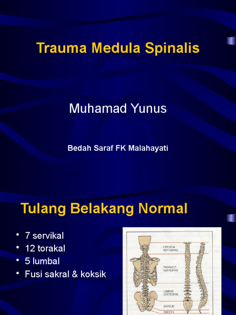 Trauma-Trauma Medula Spinalis | PDF | Spinal Cord | Neuroanatomy