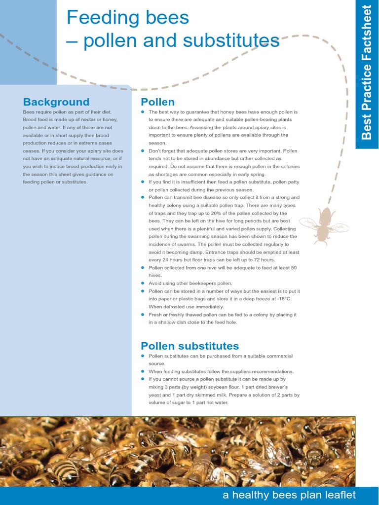 Bee Nutrition: Pollen and Substitutes Guide | PDF | Honey Bee | Beekeeper