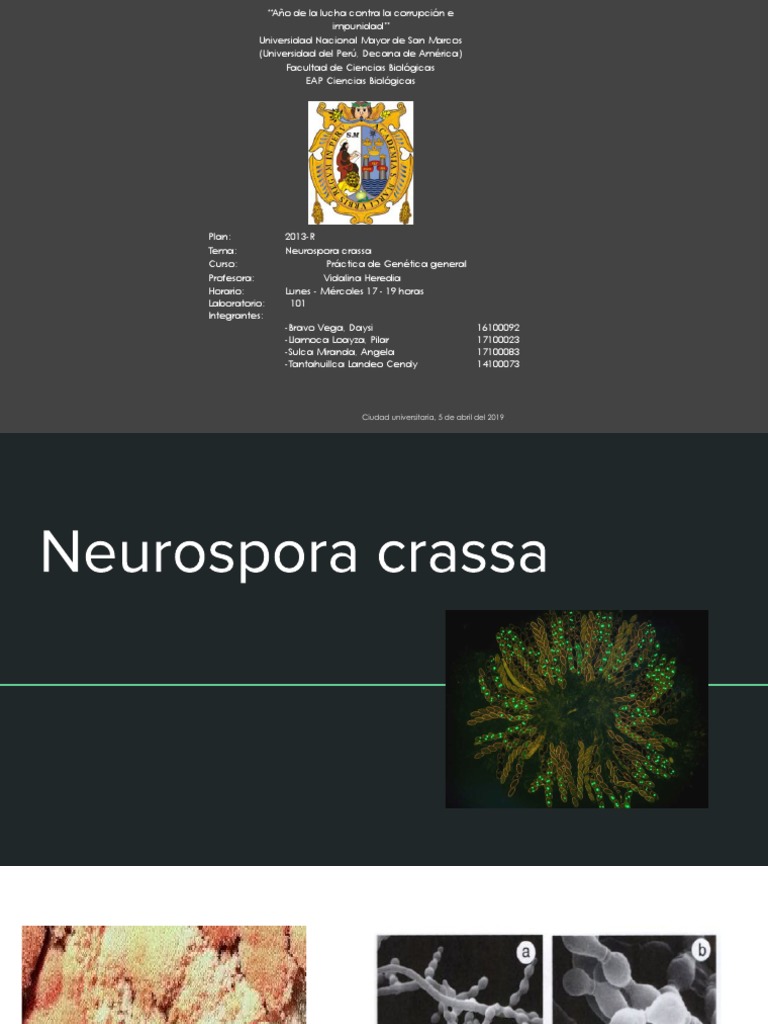 Neurospora Crassa | PDF | Genética | Gene