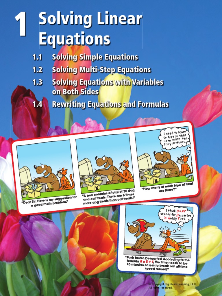 Chapter 1 PDF | PDF | Equations | Algebra