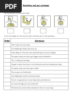Respiratory System Worksheet Answers | PDF | Respiratory Tract ...