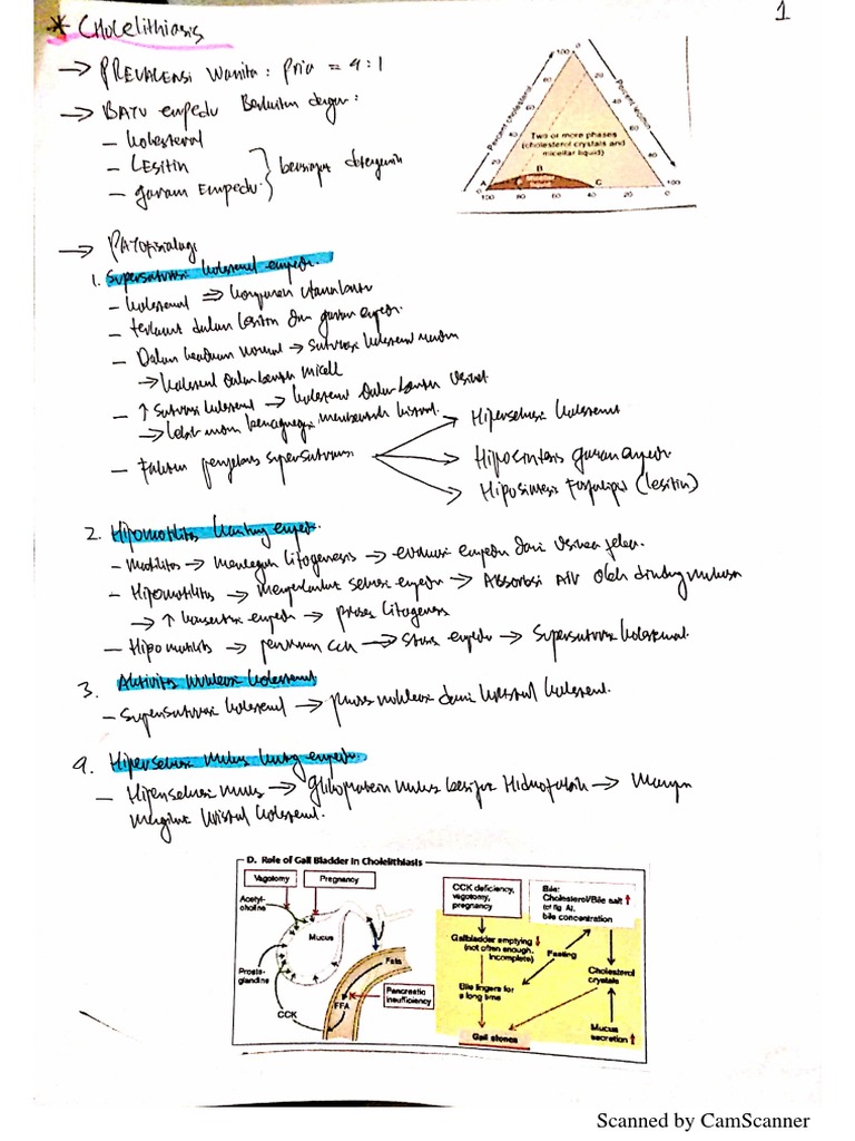Mind Mapping Cholelitiasis | PDF