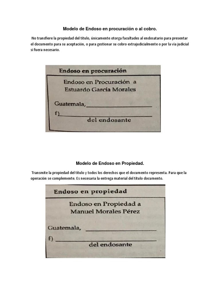 Modelo de Endoso en Procuración o Al Cobro