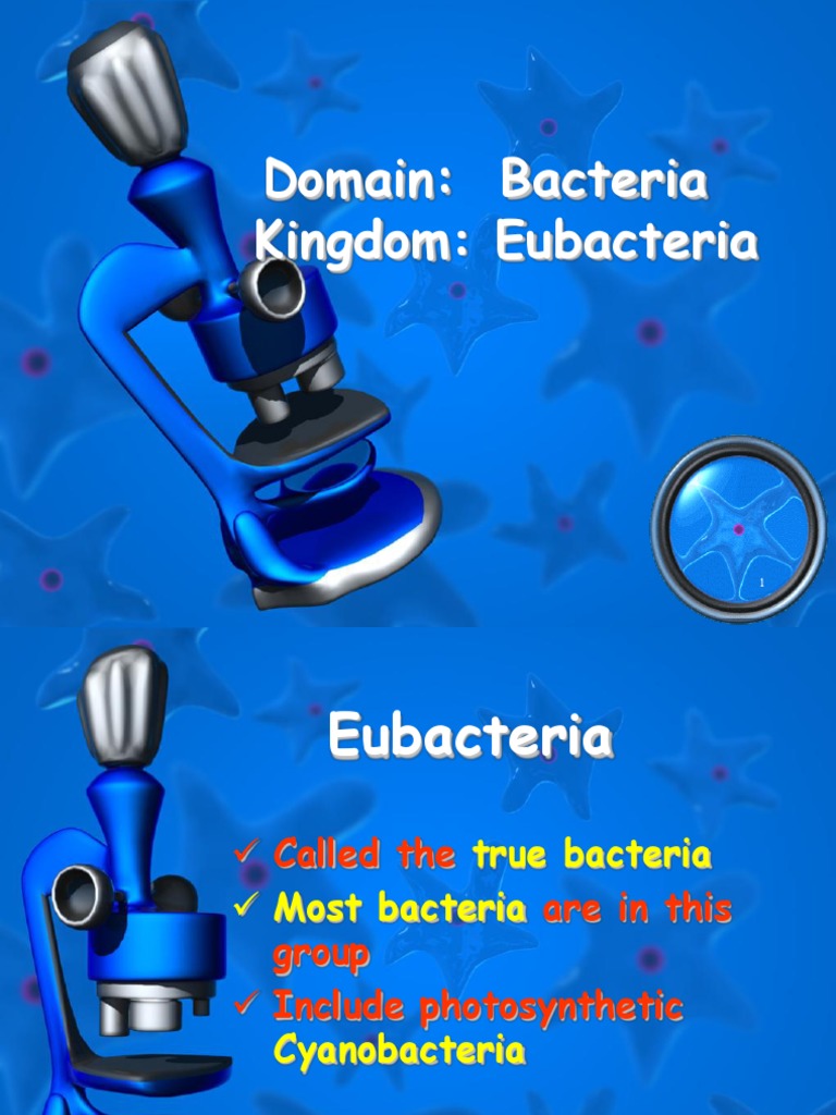 Bacteria Pdf Pdf Bacteria Cell Biology