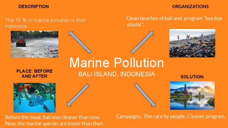 Garbage Pollution Bali Island, Indonesia | PDF