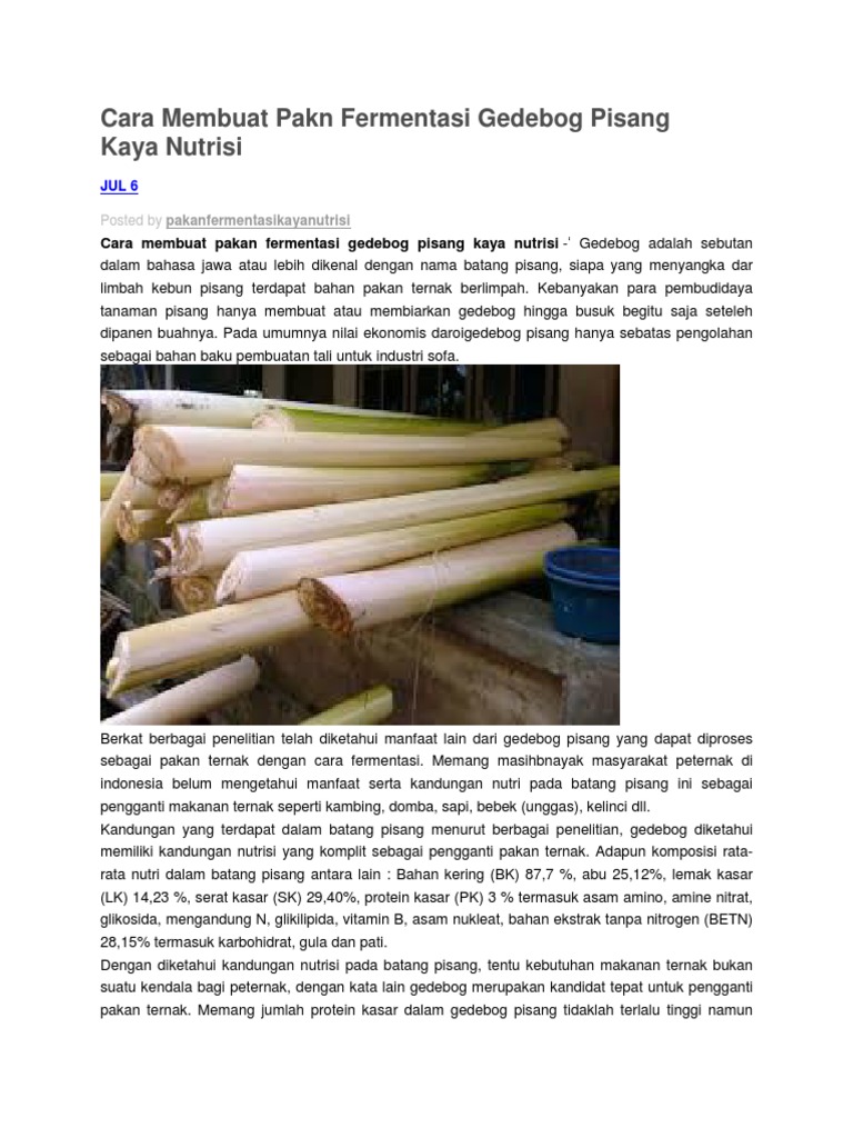 Cara Membuat Pakn Fermentasi Gedebog Pisang Kaya | PDF