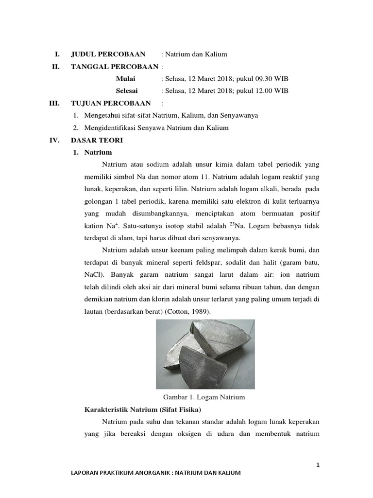 Sifat dan Reaksi Natrium-Kalium | PDF