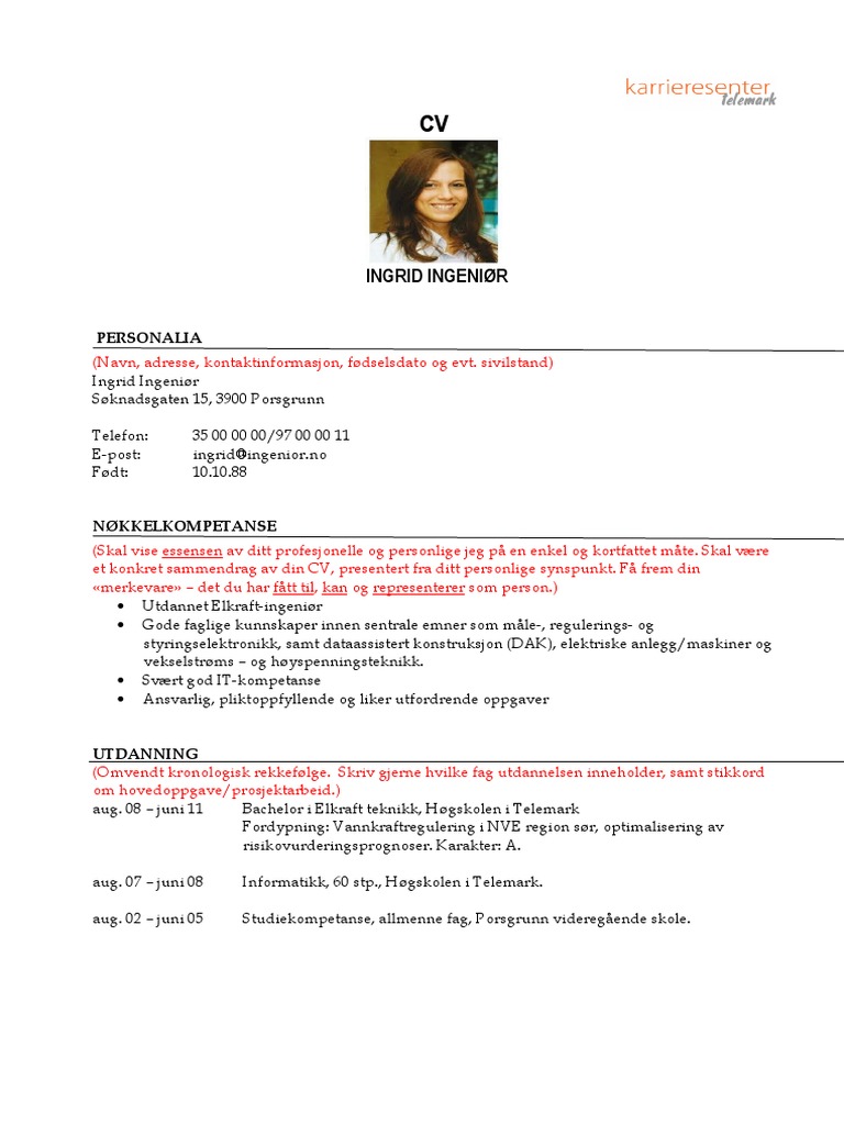 CV Ingrid Ingeniør - Med Rammer | PDF