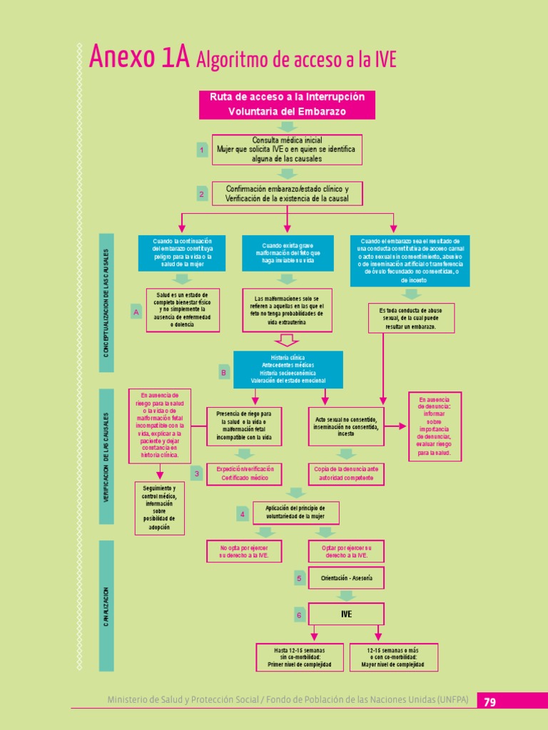 Ruta Atención Aborto | PDF | Aborto | El embarazo