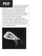 Azul de Tripan | PDF | Tinción | Microscopía