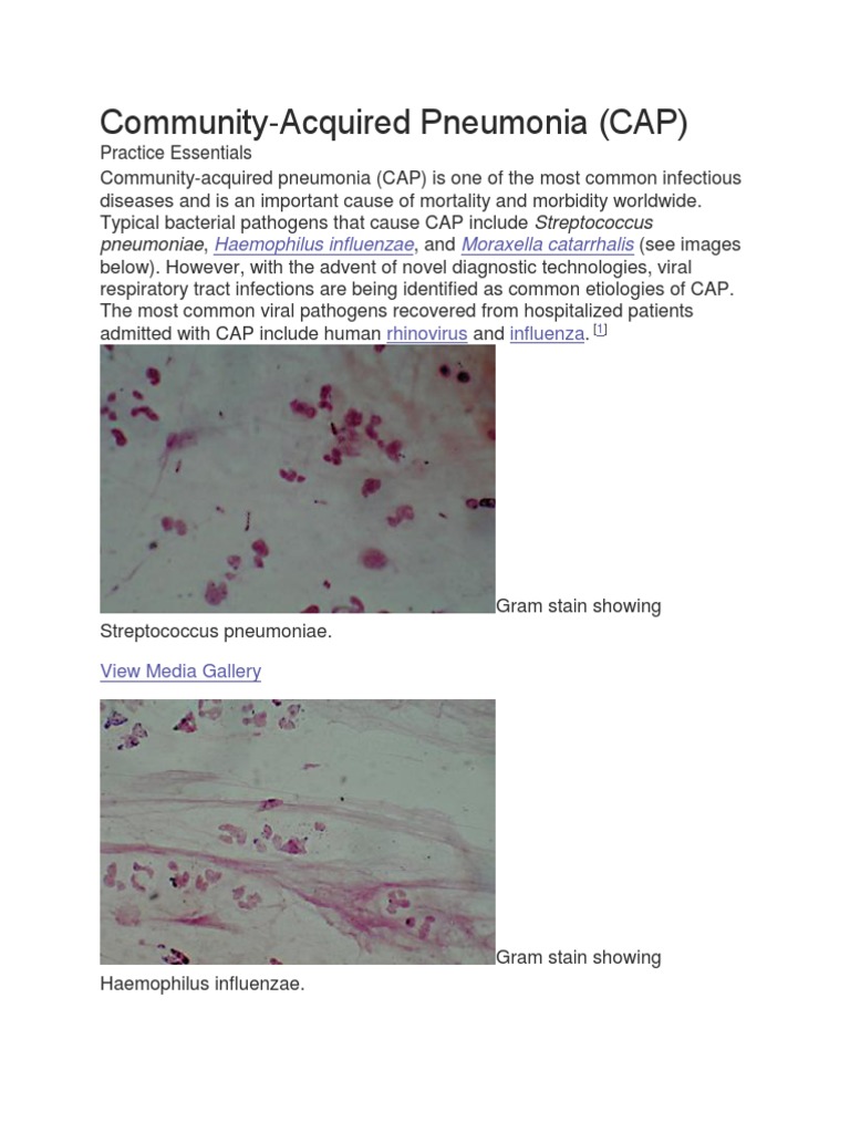 Community-Acquired Pneumonia (CAP) : Pneumoniae | PDF | Pneumonia ...