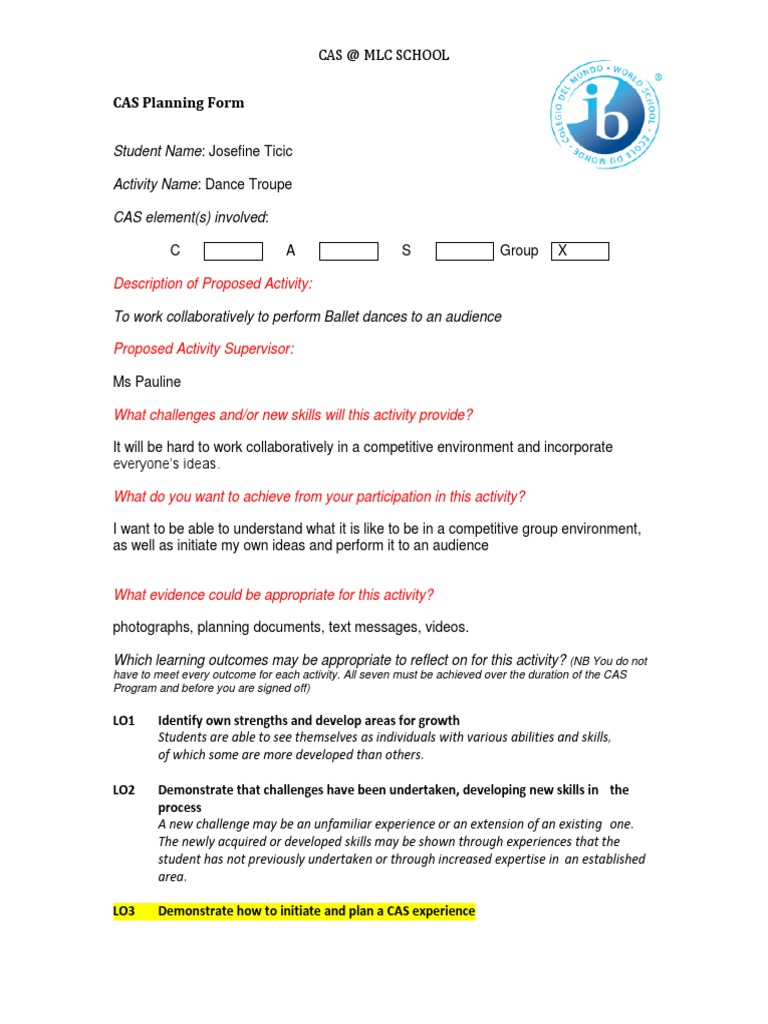 Cas Planning Form Group | PDF | Cognitive Science | Psychology