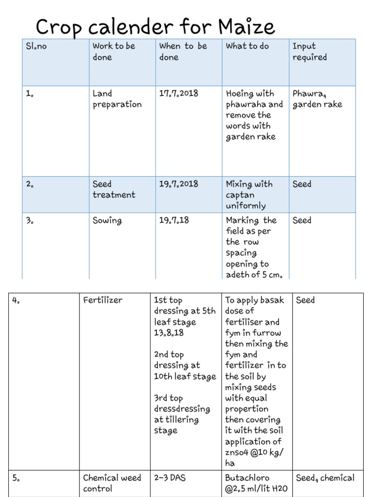Crop Calender For Maize | PDF | Sowing | Horticulture And Gardening
