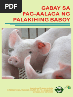 Pagbababuyan | PDF