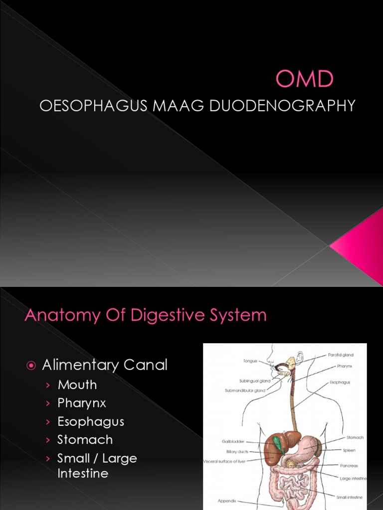 Oesophagus Maag Duodenography | PDF | Stomach | Esophagus