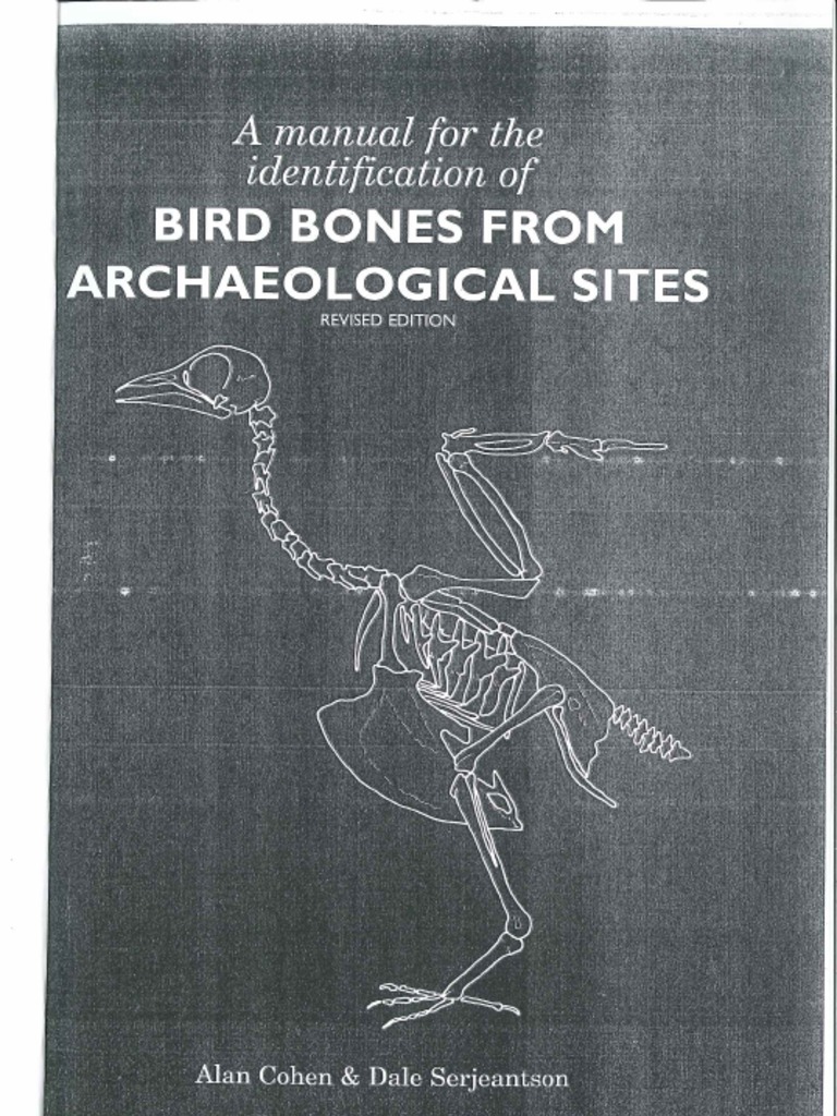 Cohen and Serjeantson 1996 - A Manual For The Identification of Bird ...