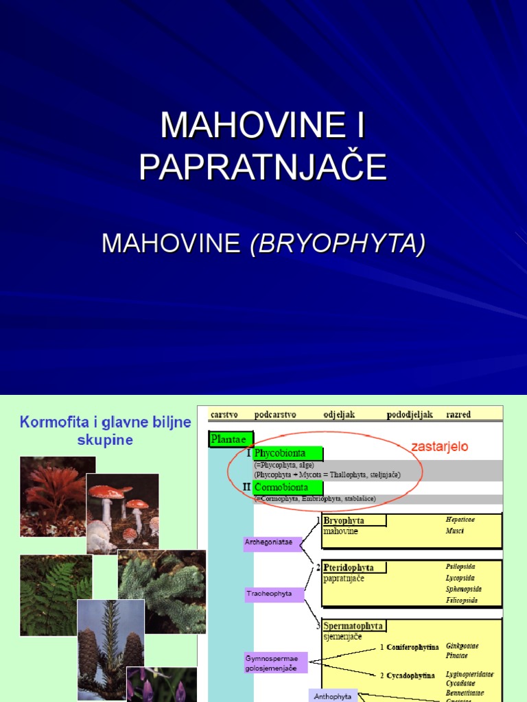 4mahovine I Papratnjac48de | PDF