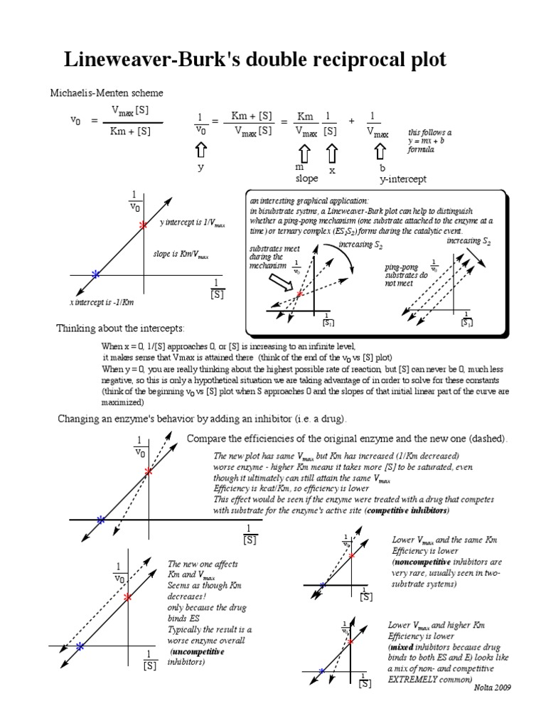 Line Weaver Burk | PDF | Enzyme Kinetics | Enzyme Inhibitor