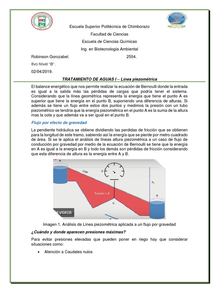 Linea Piezométrica | Bomba | Naturaleza