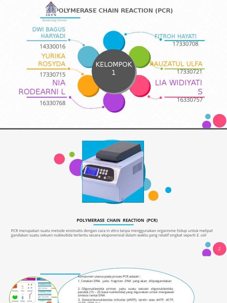 PPT PCR | PDF