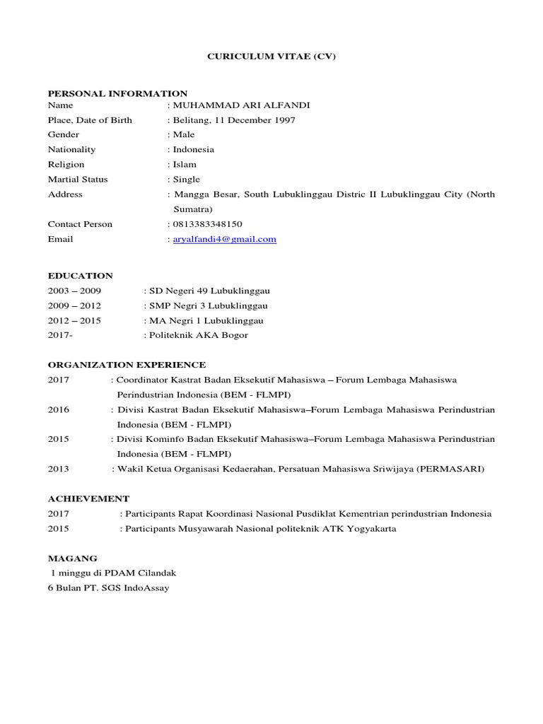 Curriculum Vitae Ary | PDF