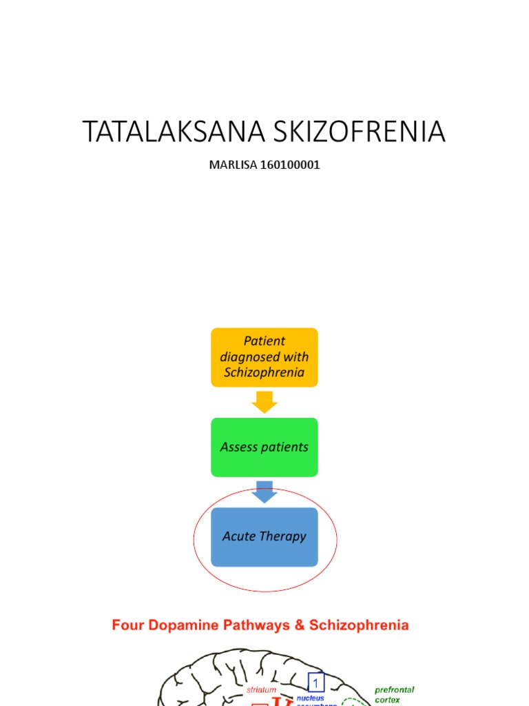 Tatalaksana Skizofrenia | PDF