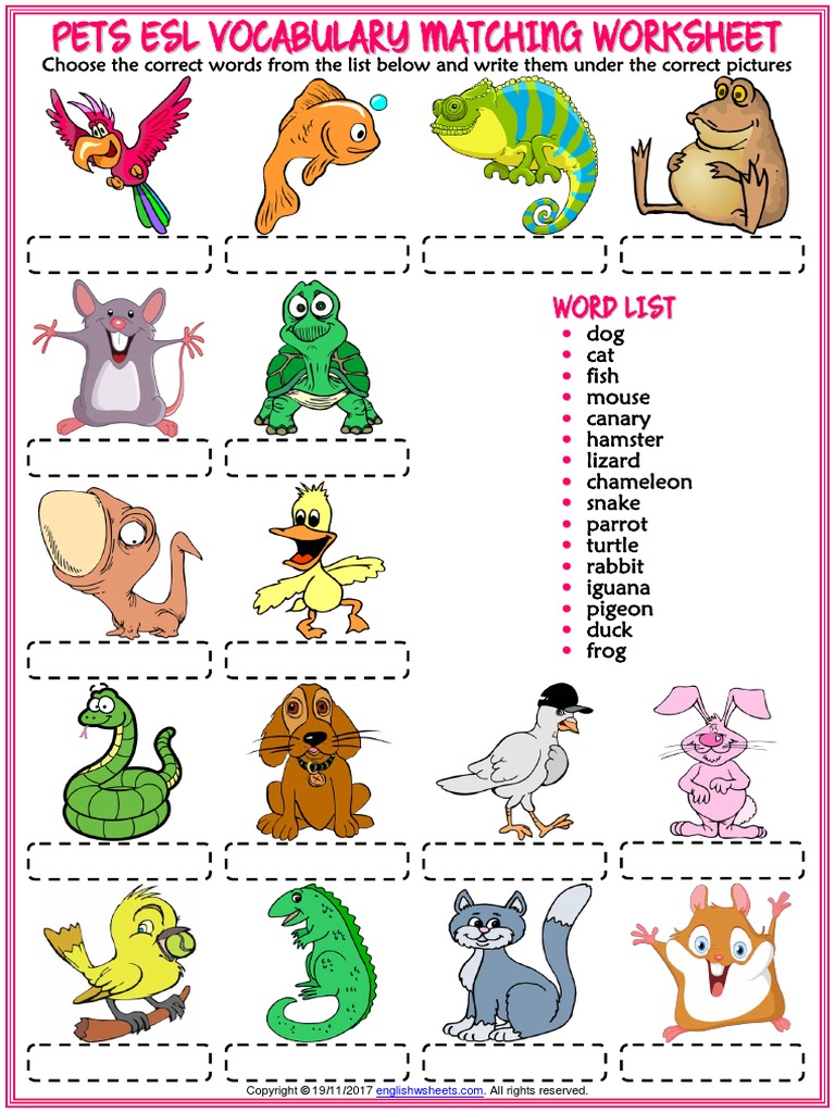 Pets Vocabulary Esl Matching Exercise Worksheet For Kids | PDF | Nature
