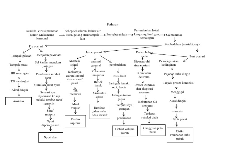 Pathway CA Mammae | PDF