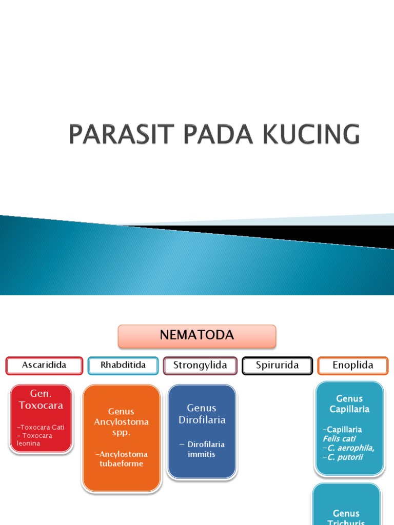 Parasit Pada Kucing | PDF | Kesehatan Holistik | Sains & Matematika