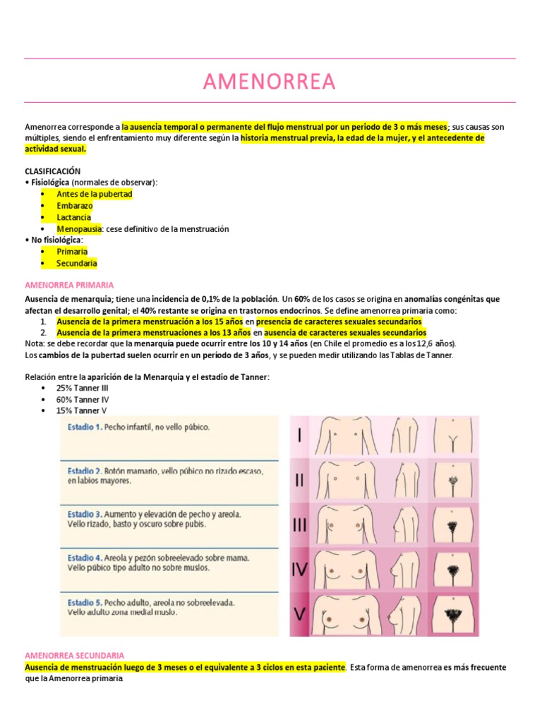 AMENORREA.docx | Hormona luteinizante | Menstruación