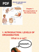 Anatomy and Physiology-Lecture Notes | PDF | Bone | Anatomical Terms Of ...