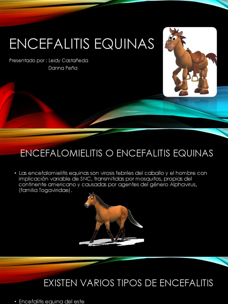 Encefalitis equinas | Virus | Anticuerpo