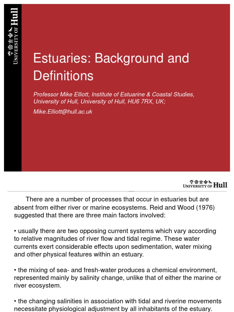Estuaries Background and Definitions | Download Free PDF | Estuary ...