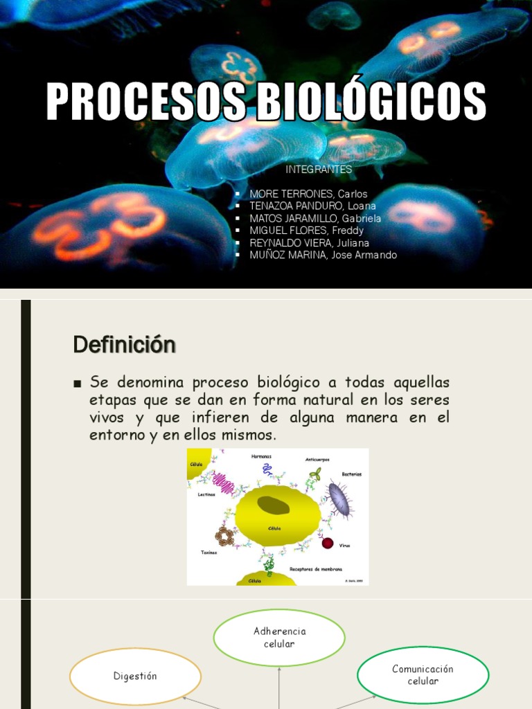 Procesos Biologicos | PDF | Aguas residuales | Biología