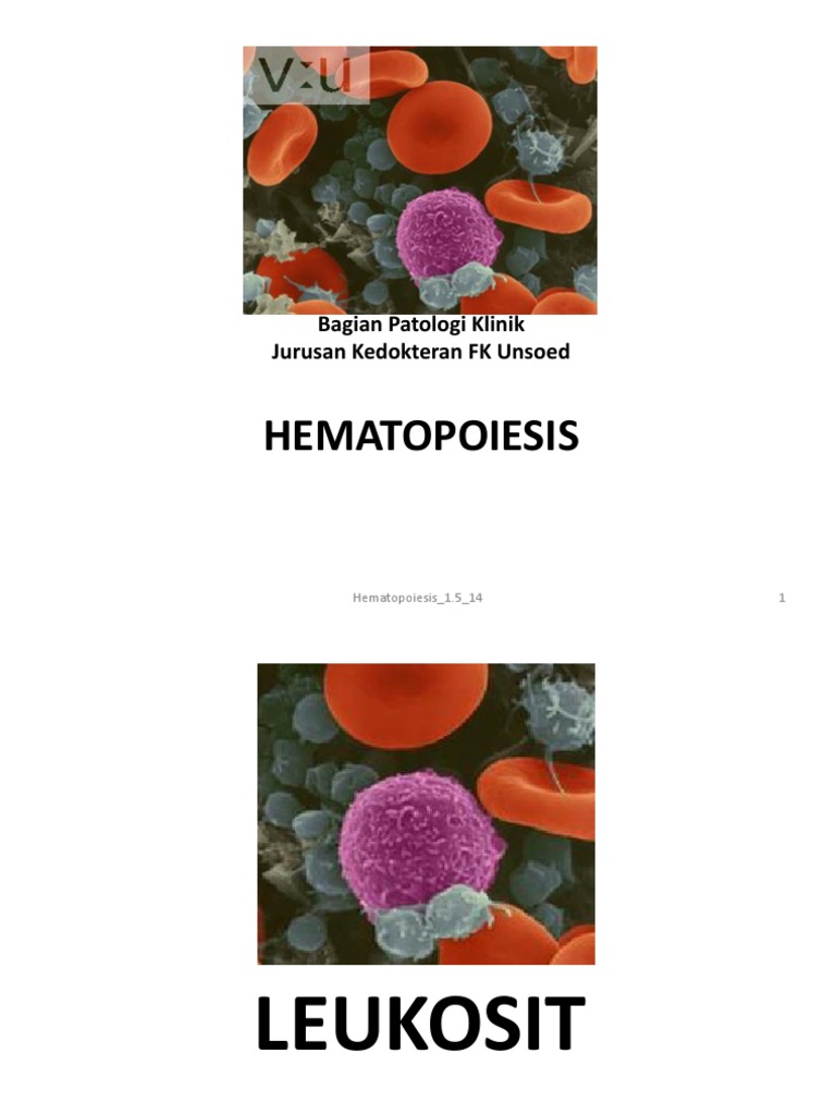 Jenis-jenis Leukosit dan Fungsinya | PDF