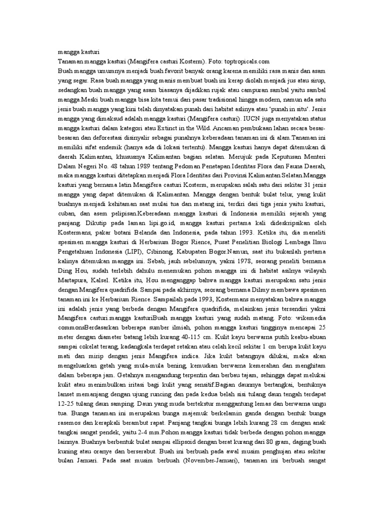Mangga Kasturi | PDF