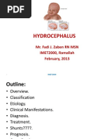 Nursing Crib Com NURSING CARE PLAN Hydrocephalus | PDF | Cerebrospinal Fluid | Medical Specialties