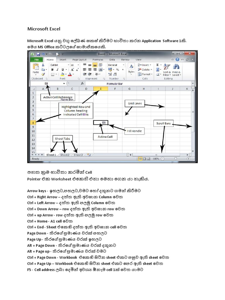 Microsoft Excel Sinhala | PDF