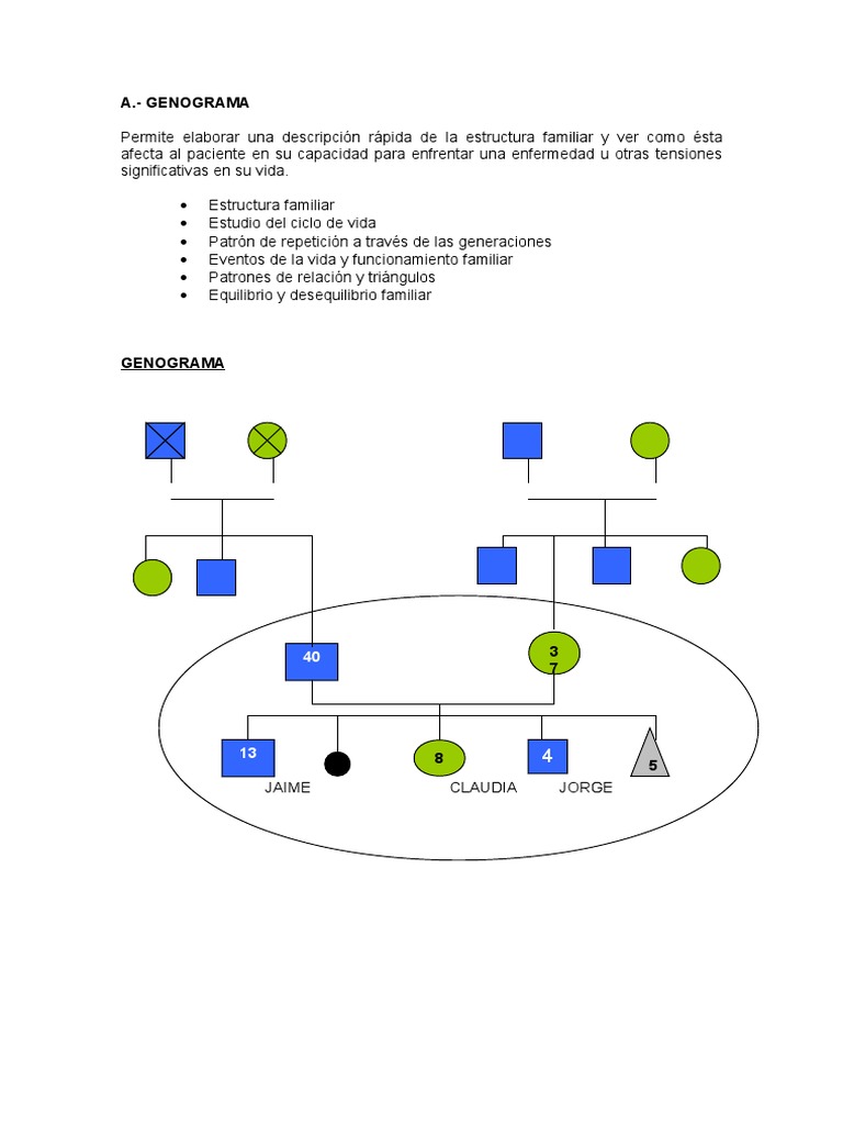 Genograma - Circulo Familiar - Clase 4 | PDF | Familia | Divorcio