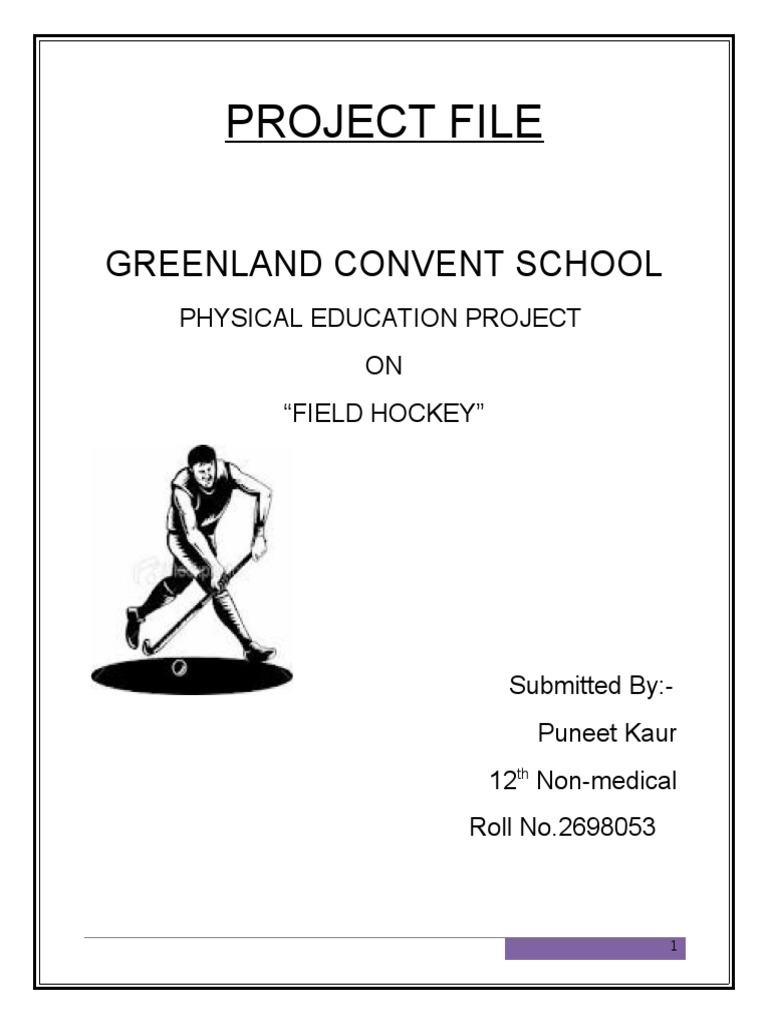 Project File Hockey | PDF | Sports | Team Sports