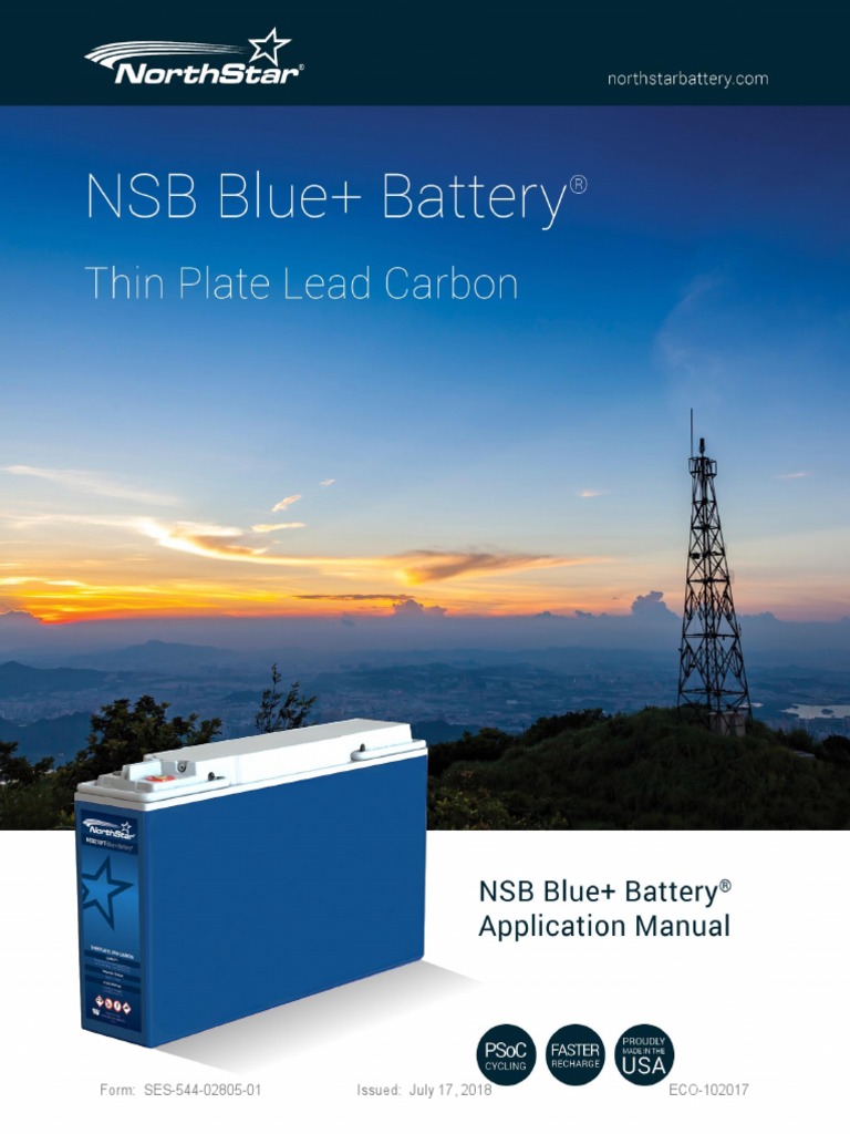 NSB Blue Battery Manual | PDF | Battery Charger | Electricity